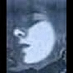 Helen Roche on USEUM